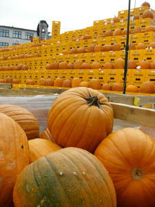 Kürbispyramide in Herford2006