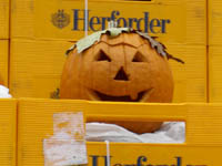 Kürbispyramide in Herford2006